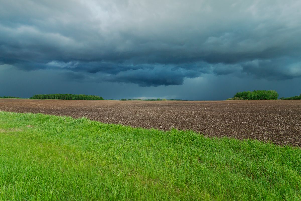 Deolali Discovery: Unveiling Its Hidden Charms – KesharBaug Nashik