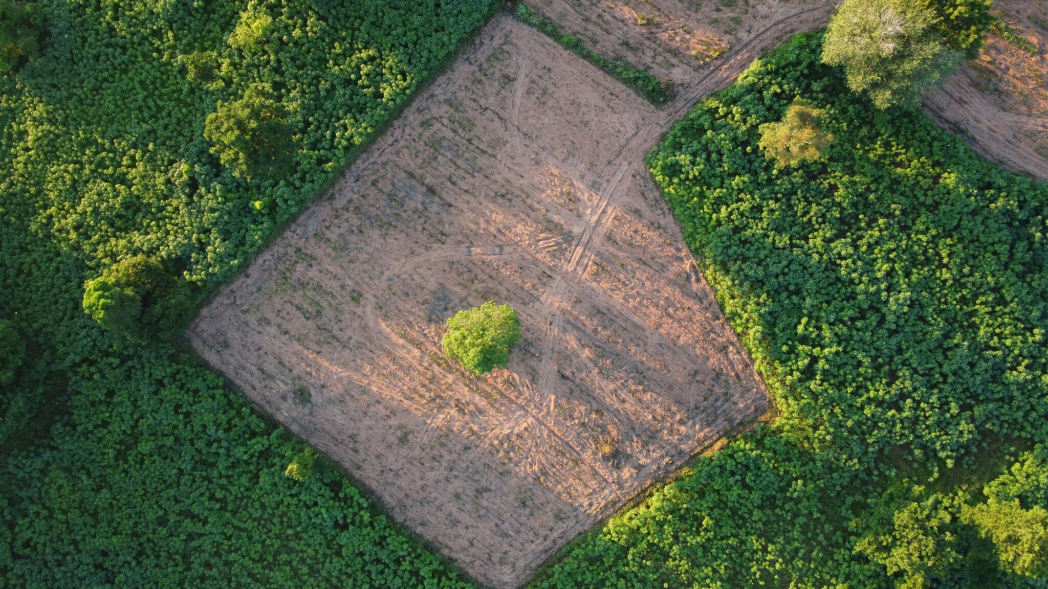 What is an NA Plot? Building Your Dream Home on Solid Ground ...